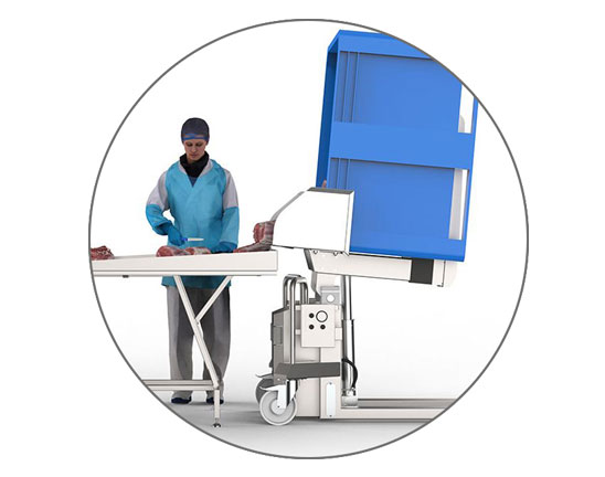 Dump buggy tippers - maximize your productivity